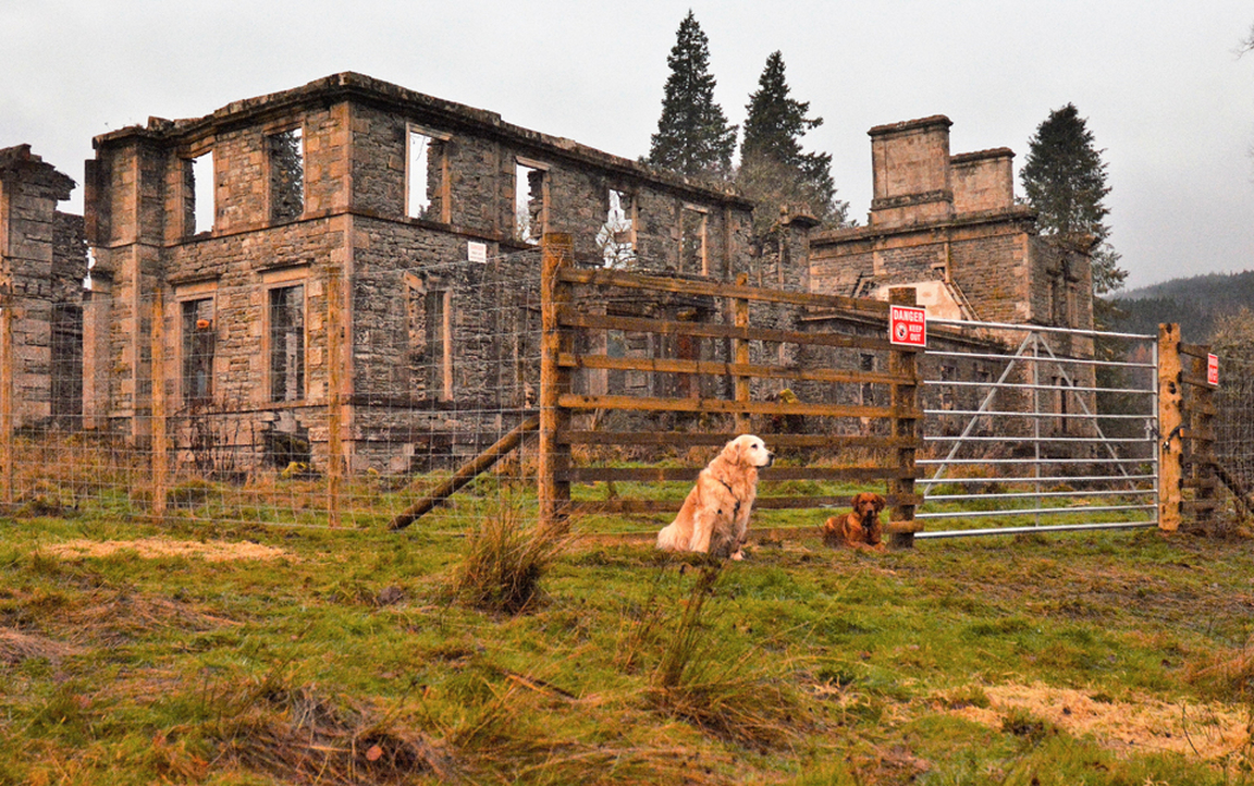Welcome to the Friends of Guisachan – Dedicated to the ancestral home ...